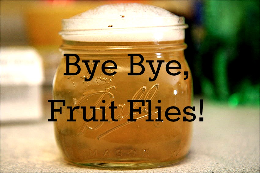Get Rid of Fruit Flies - Suburban Turmoil