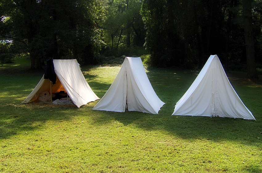 My Son, the Tick Magnet