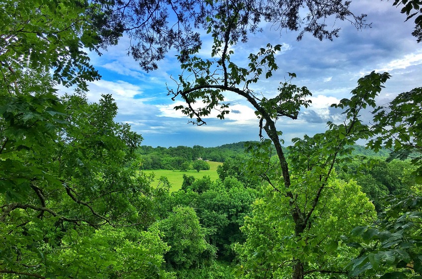 This Nashville Area Hike Has Unforgettable Views!