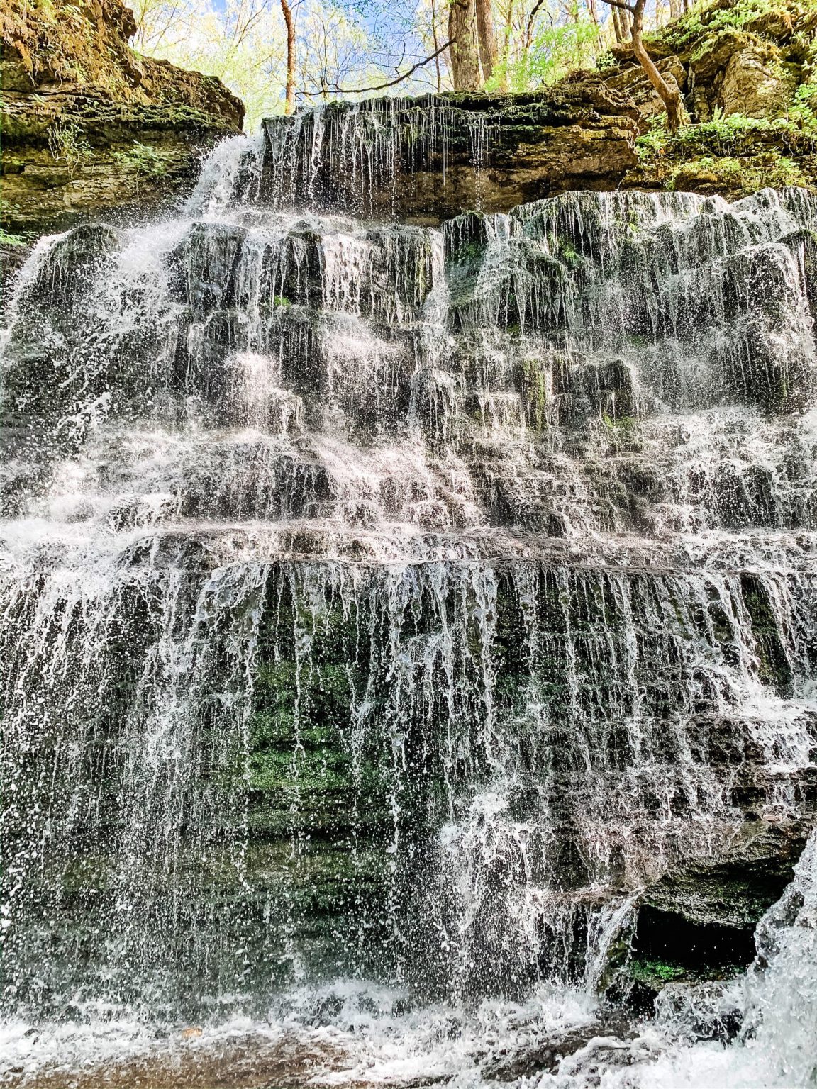 Machine Falls : Waterfalls & Wildflowers an Hour and a Half From ...